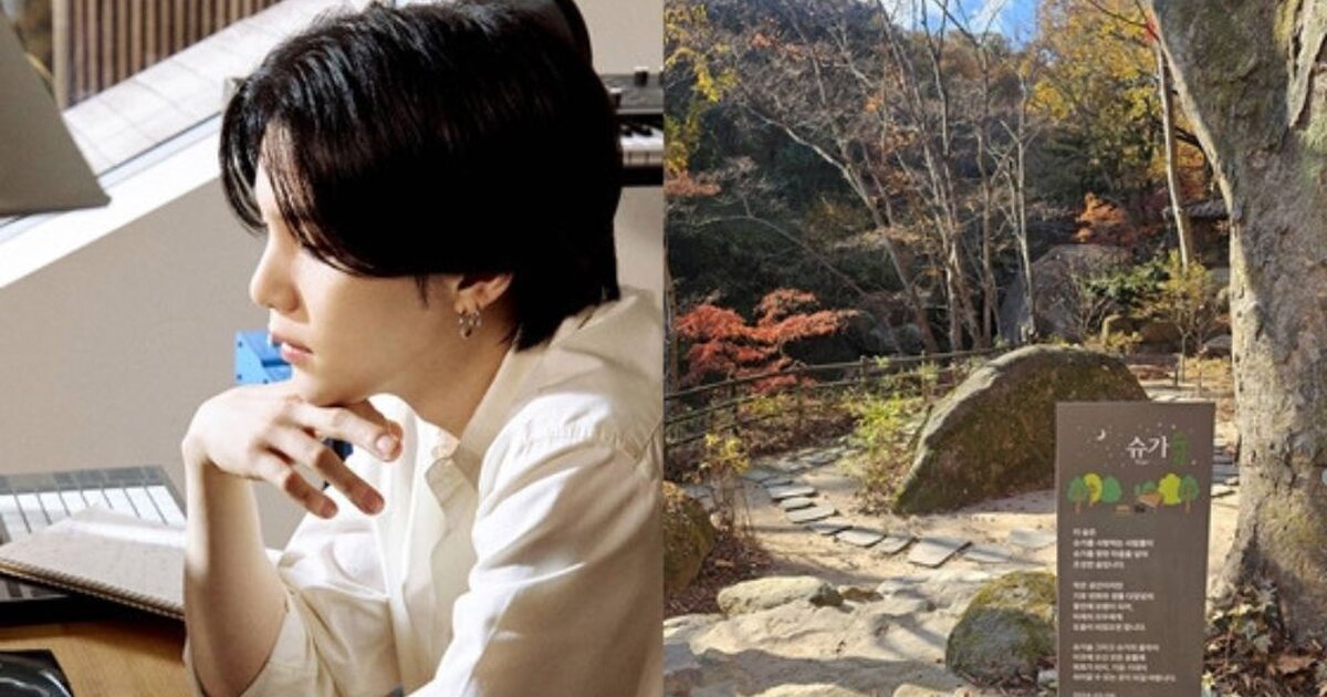 BTS's Suga and His Fans Just Made History as ‘Suga Forest’ Wins Big for ...